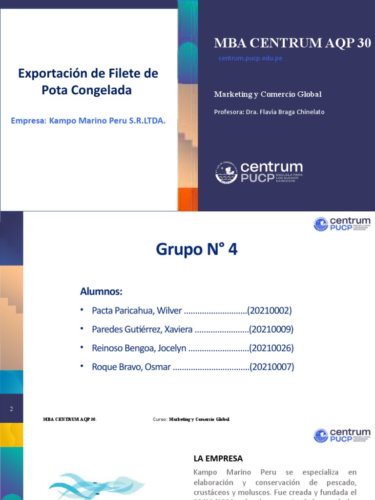 Exportación de Filete de Pota Congelada: Mba Centrum Aqp 30 | PDF ...