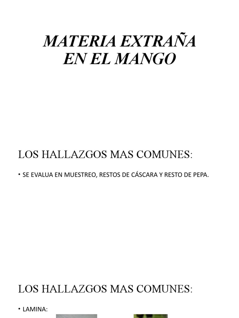 Materia Extraña en El Mango | PDF