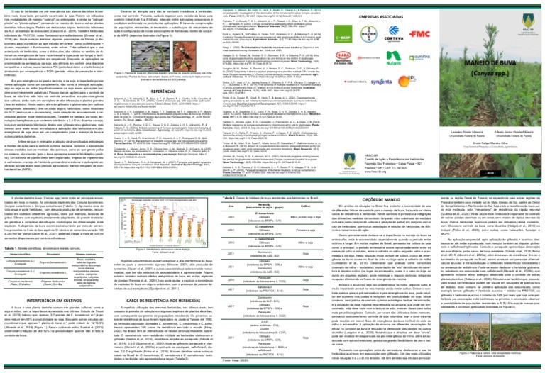 Manejo+de+buva+ (Conyza+spp) | PDF | Agricultura | Milho