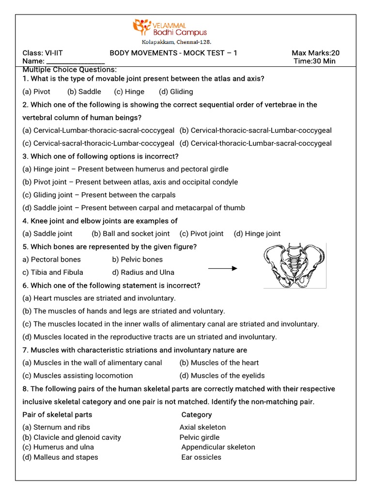 Bio Mock Test-1-Body Movements | PDF