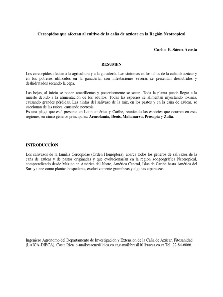 Salivazo de La Caña de Azucar en Latinoamerica y Caribe4 - 0502151225 ...
