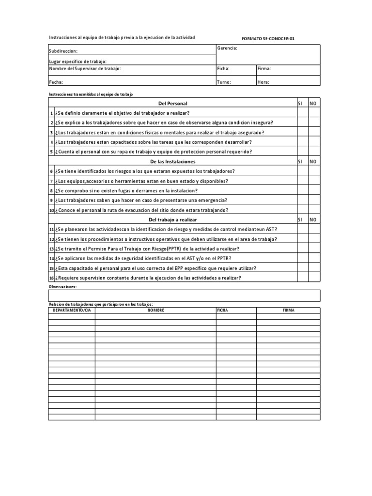 Formato-Se-Conocer. Actual | PDF