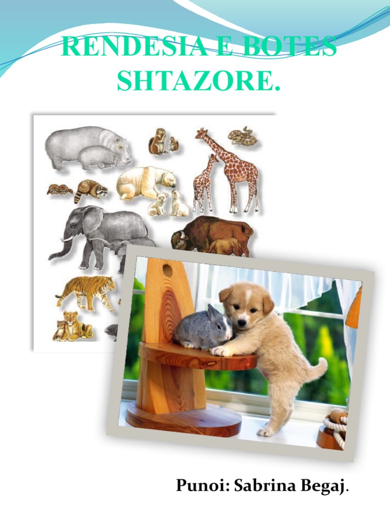 Rëndësia e Botës Shtazore-Projekt Në Gjeografi | PDF