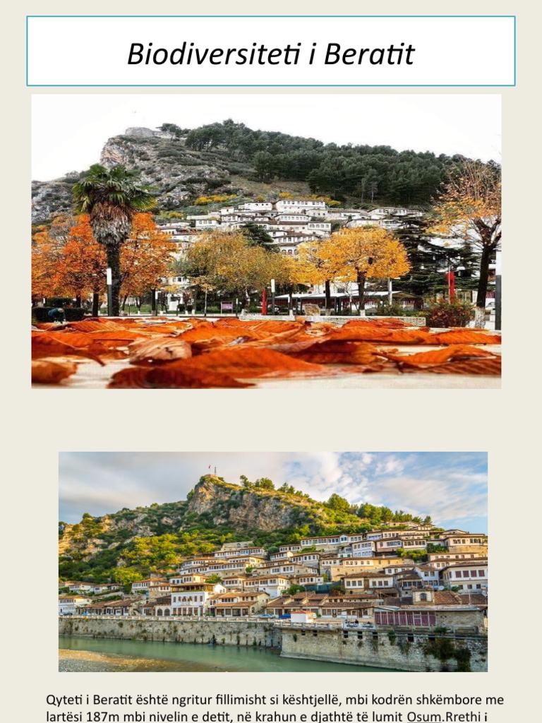 Biodiversiteti I Beratit - Projekt Ne Gjeografi | PDF