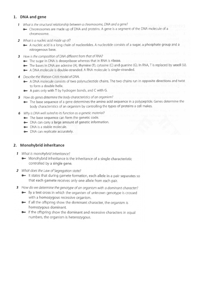 DNA and Gene Revision | PDF