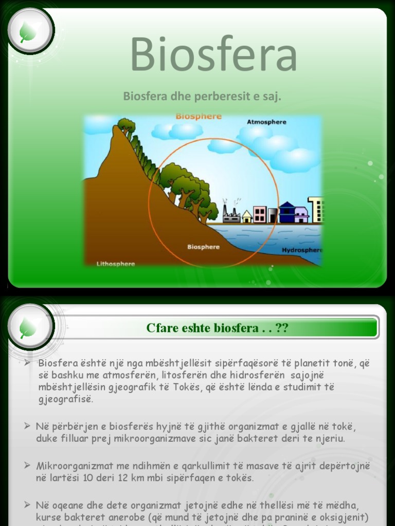 Biosfera: - Click To Edit Master Text Styles | PDF