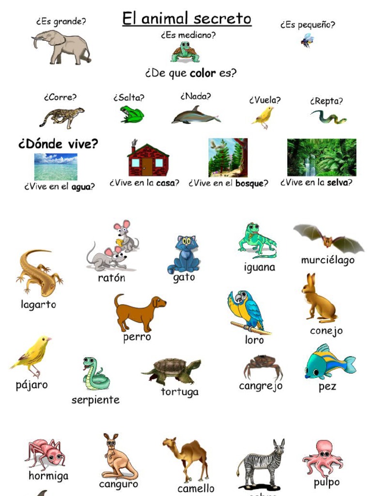 Adivina Animal y Fruta SECRETOS | PDF