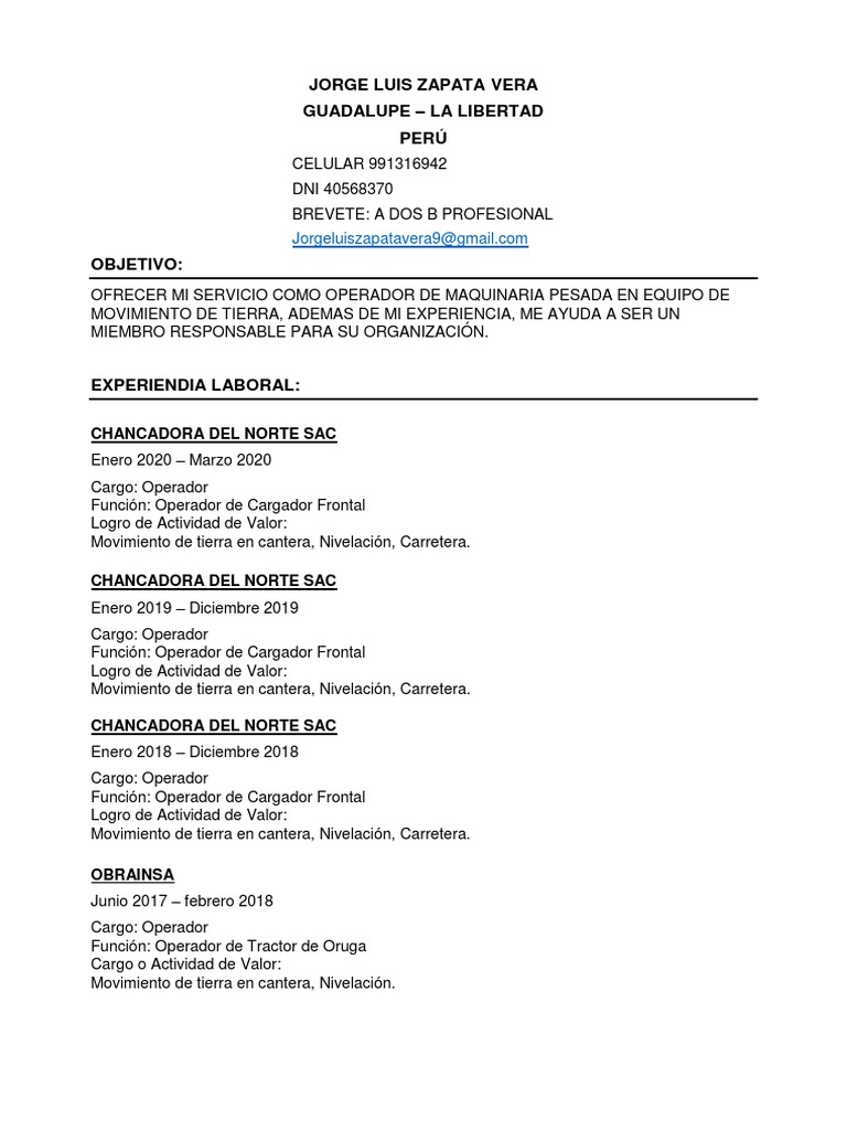 CV - Zapata Vera, Jorge Luis | PDF