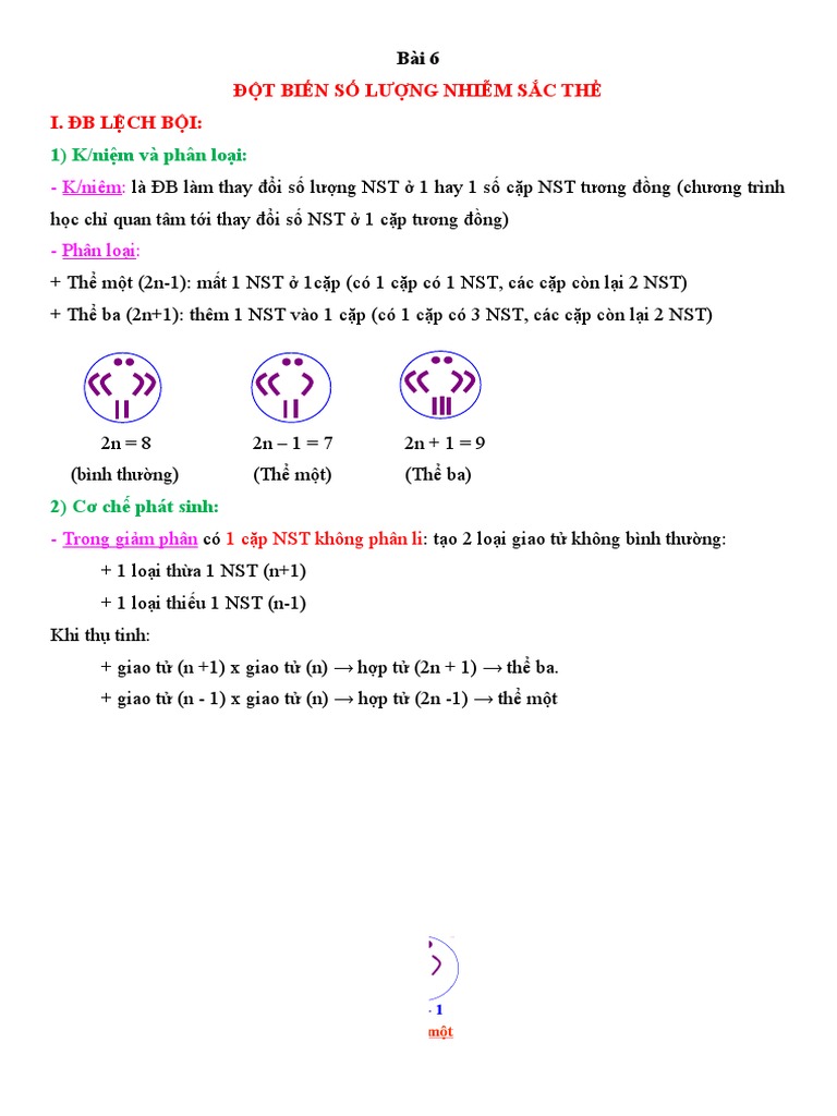 Bài 6 Đột biến số lượng NST | PDF