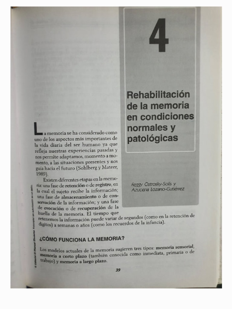 Memoria Juan Carlos Arango | PDF