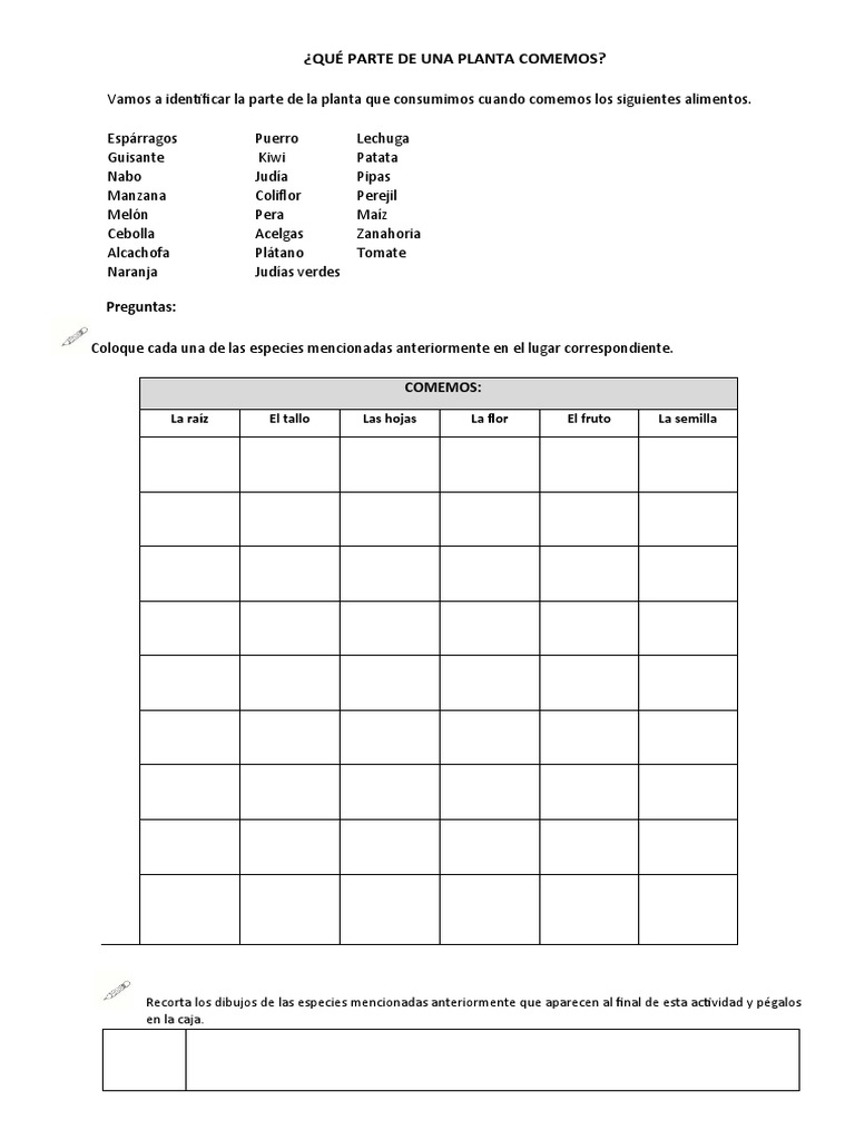 Qué Parte Planta Comemos | PDF