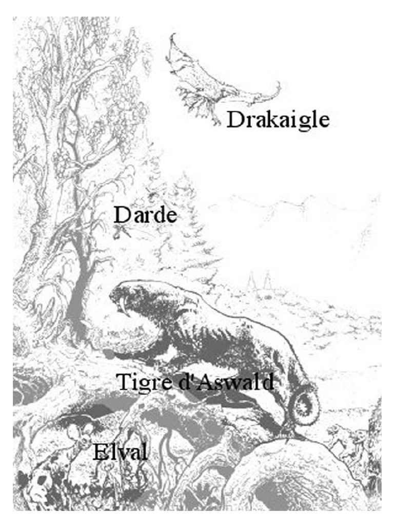 Agone Bestiaire Planches | PDF