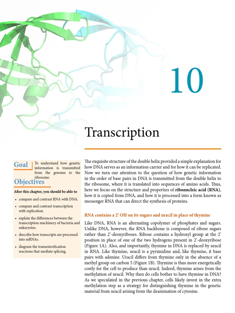 10 - The Genetic Code and Translation Revised 9-24-2018 | Download Free ...