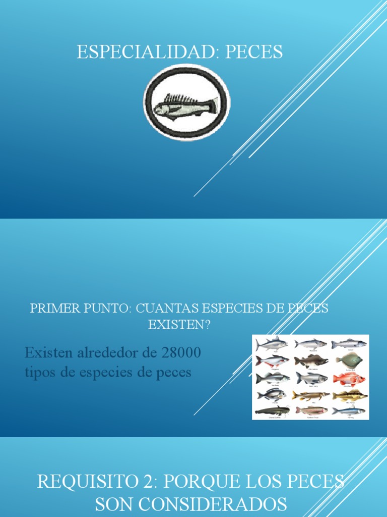 Guía Completa sobre Peces | PDF | Pescado | Branquia