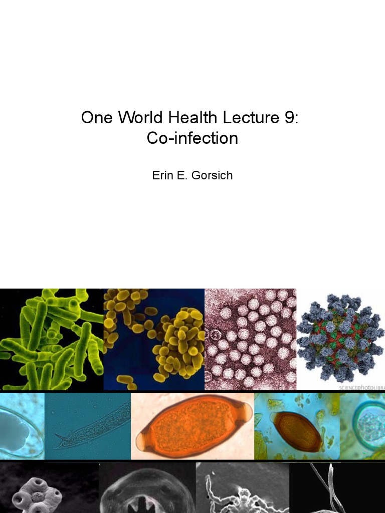 11 - Co Infection | PDF | Parasitism | Infection