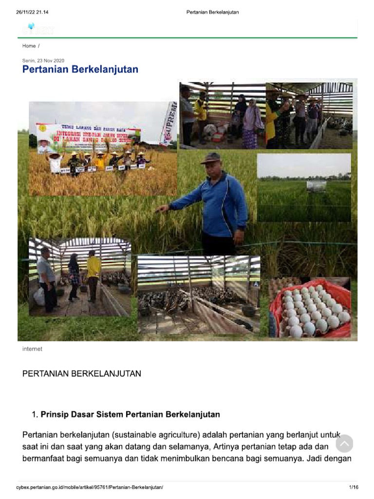 Sistem Pertanian Berkelanjutan | PDF Sistem Pertanian Berkelanjutan | PDF