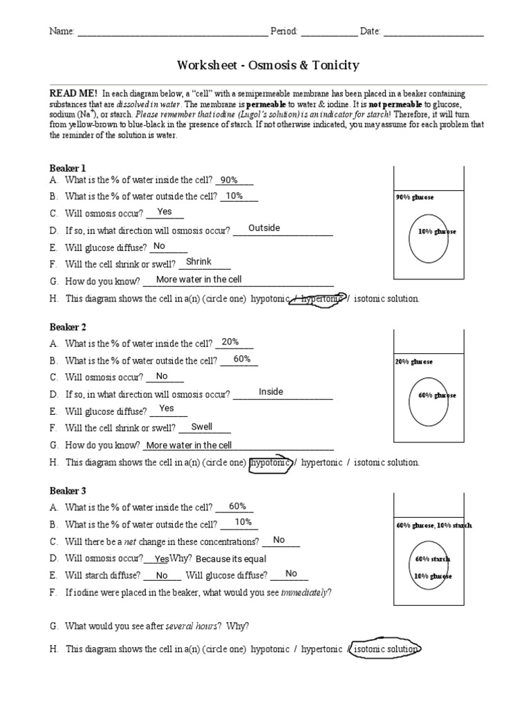 Osmosis Tonicity Worksheet | PDF | Osmosis | Physical Sciences