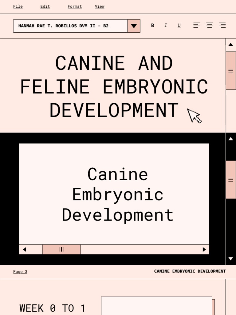Canine and Feline Embryonic Development | PDF | Embryo | Skin