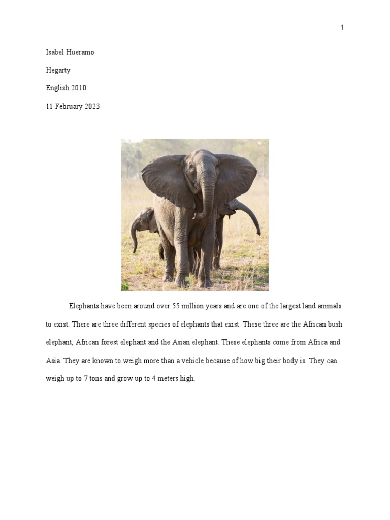 Draft Profile 1 | PDF | Elephant | Zoo