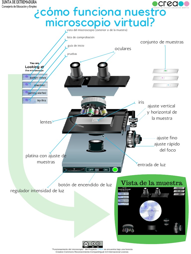 funcionamiento_microscopio | PDF
