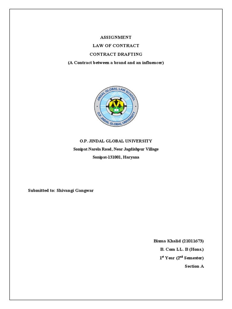 Influencer Contract for Maybelline | PDF | Indemnity | Legal Liability