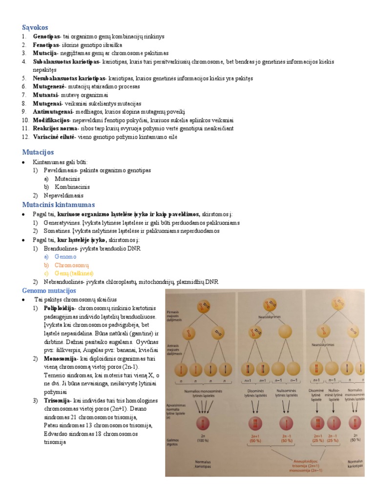Mutacijos | PDF