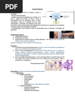 Cinética e Indicadores do Ferro Corporal | PDF | Ferro | Medicina Clínica