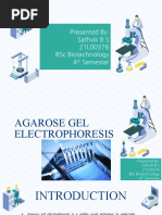 How To Read, Interpret and Analyze Gel Electrophoresis Results | PDF | Gel Electrophoresis ...