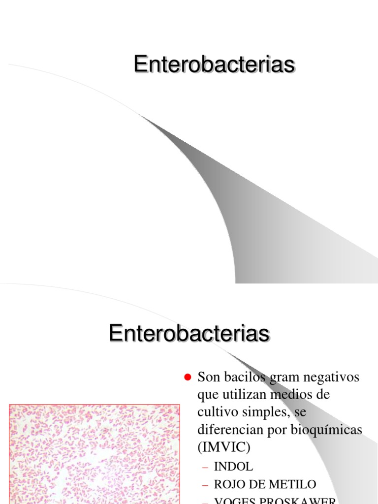 Enterobacterias 2 | PDF | Especialidades Medicas | Medicina CLINICA