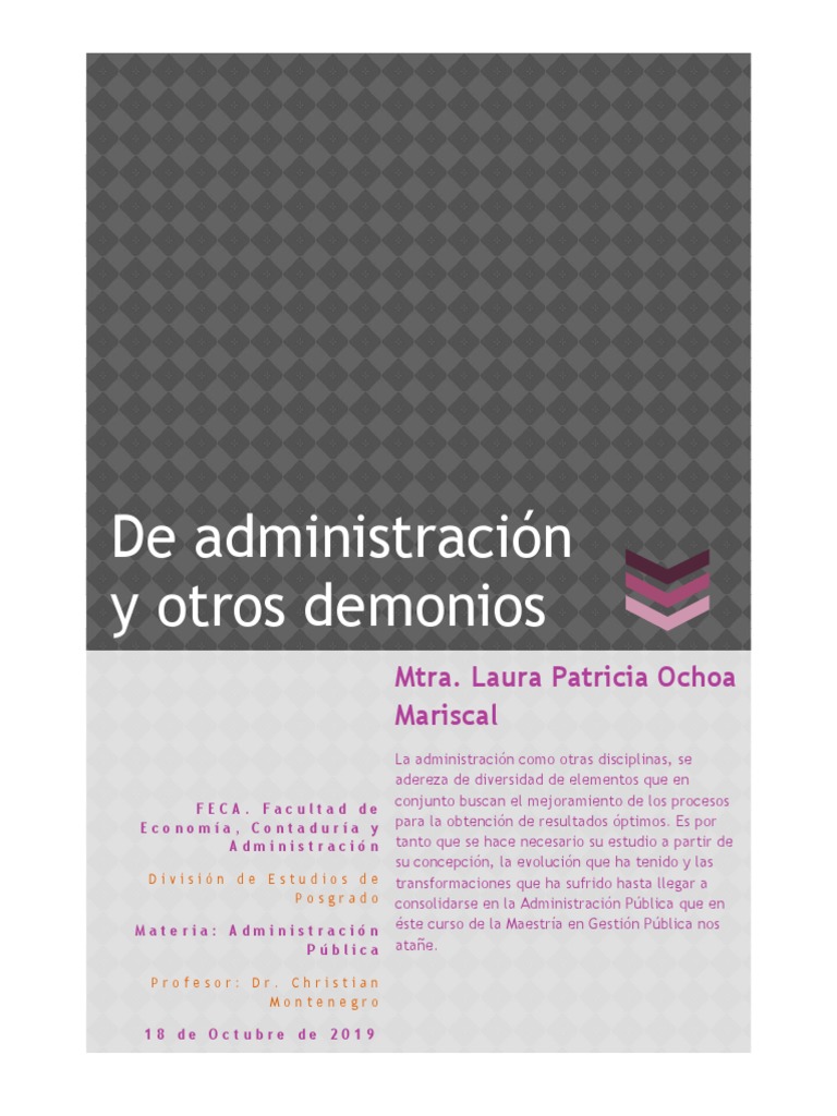 Ensayo Admon. Pública | PDF | Administración Pública | Teoría