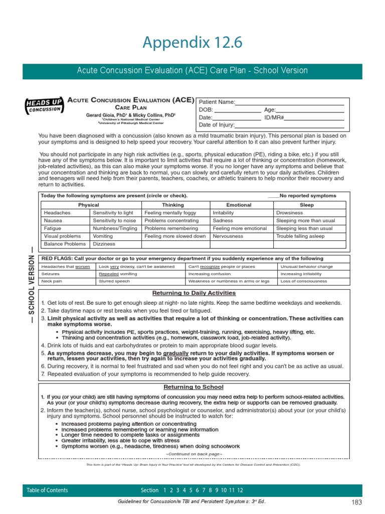 Acute Concussion Evaluation Care Plan - School | Download Free PDF ...