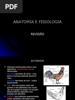 Anatomia e Fisiologia das Aves | PDF | Intestino delgado | Sangue