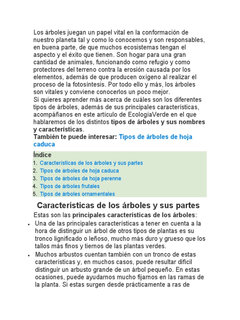 Los Árboles Juegan Un Papel Vital en La Conformación de Nuestro Planeta Tal y Como Lo Conocemos ...