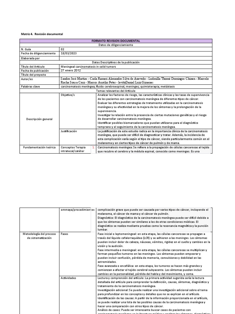 MATRIZ REVISION DOCUMENTAL-2 (Guia 02) | PDF