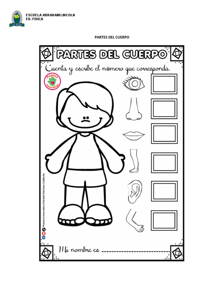 Partes del Cuerpo para Educación Física | PDF