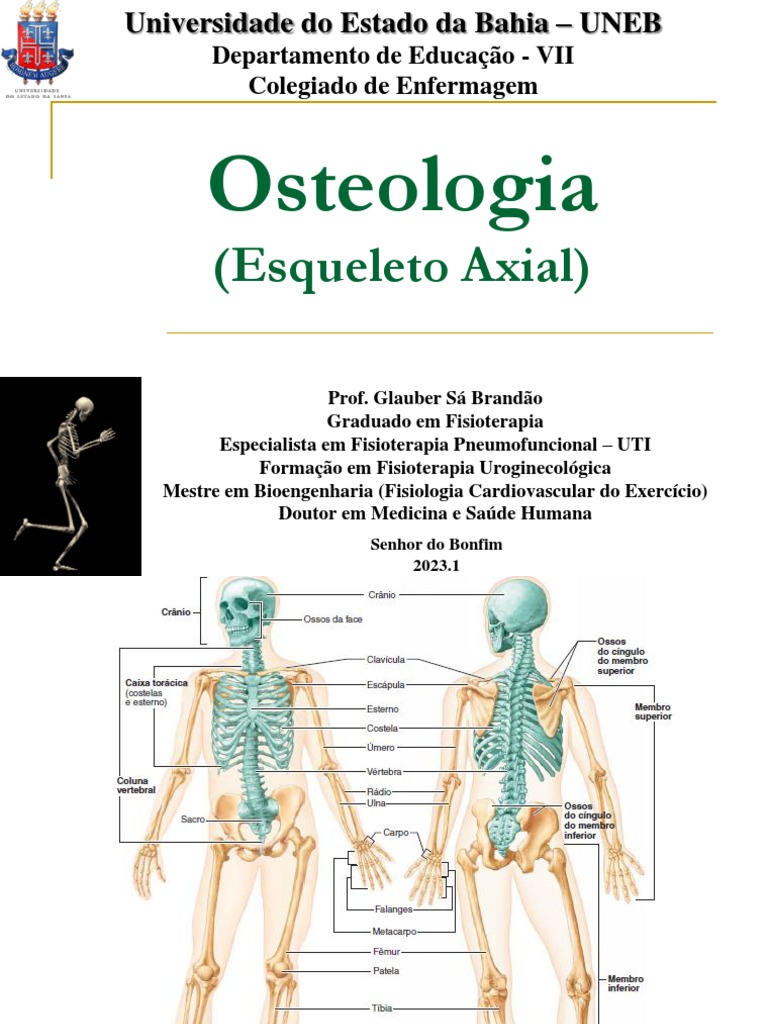 Osteologia: (Esqueleto Axial) | PDF | Coluna vertebral | Vértebra