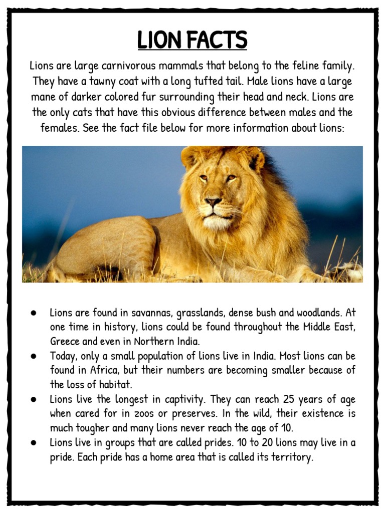 Lion Worksheets | Download Free PDF | Lion | Felidae