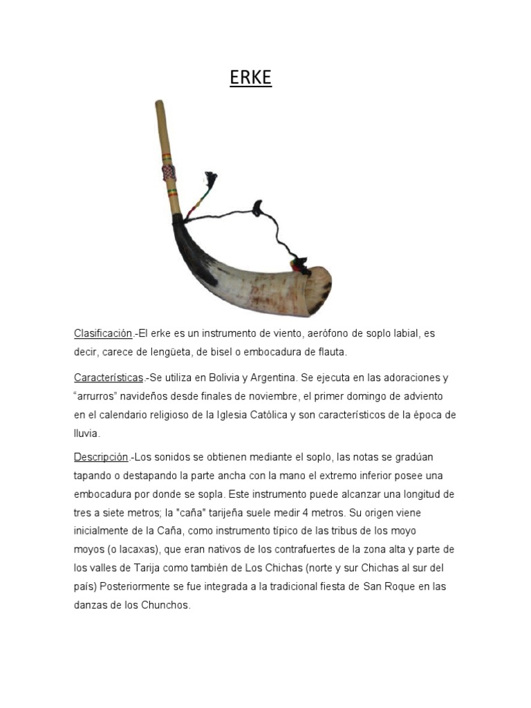 ERKE | PDF