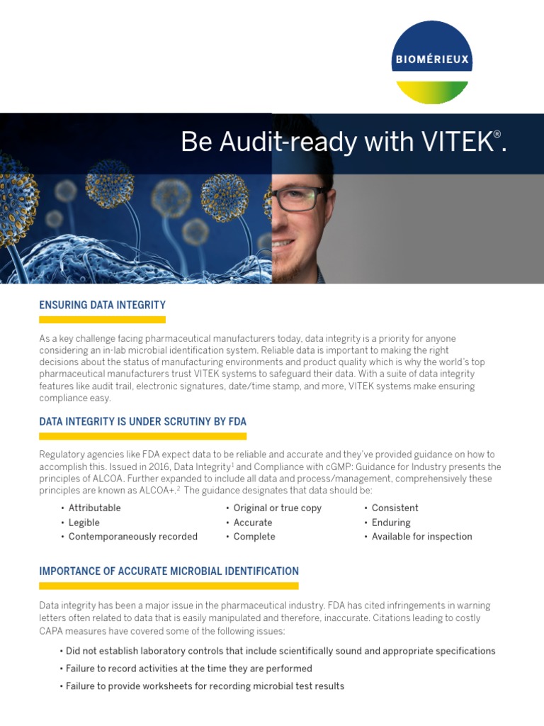 VITEK | PDF | Information Technology Management | Computing