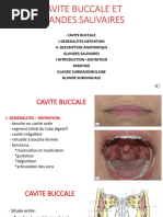 Anatomie et Fonction de la Langue | PDF | Langue | Anatomie humaine