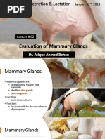 Udder and Teat Scoring in Beef Cows | PDF | Cattle | Bovines