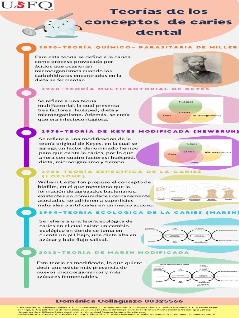 Teorías de Los Conceptos de Caries Dental | PDF | Especialidades ...