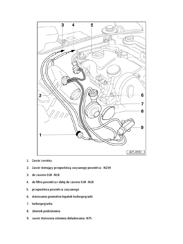 Schemat Podciśnienia - 1.9TDI - ATJ - AJM - 1 | PDF