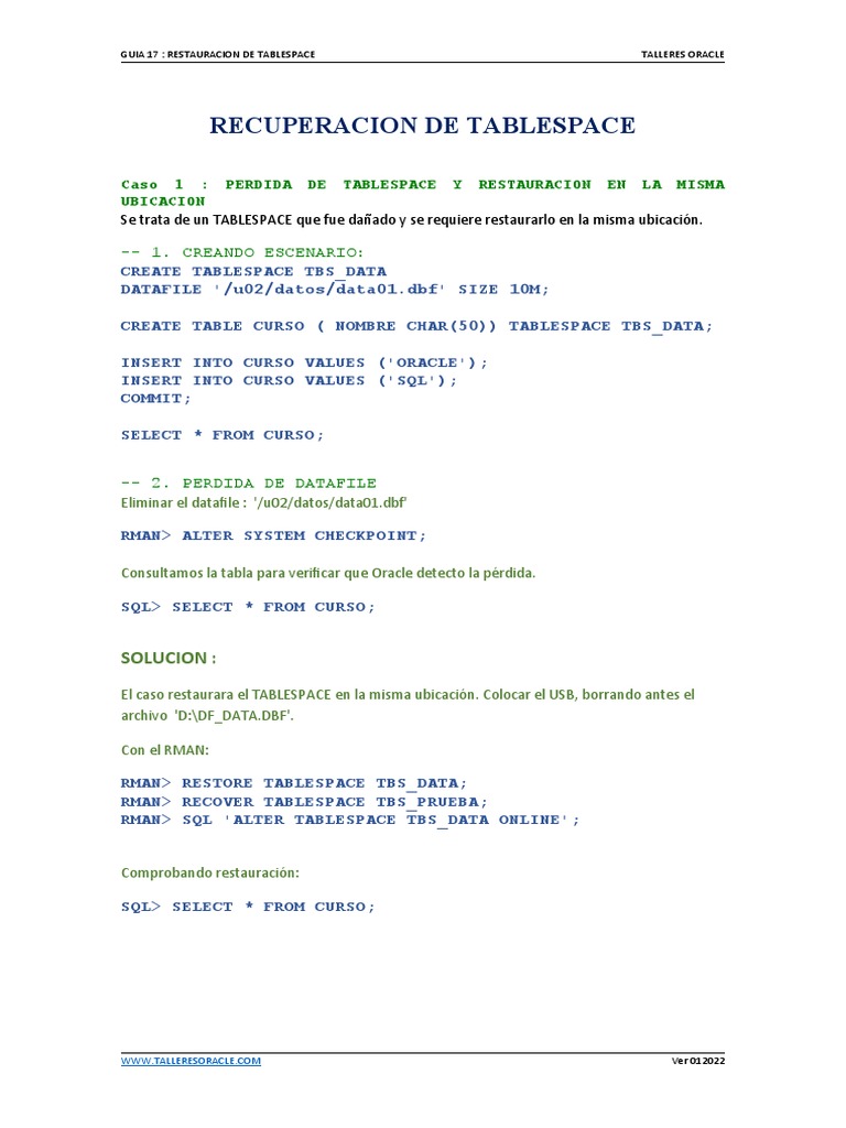 Guia 17 Restauracion - Recovery de Tablespace | PDF