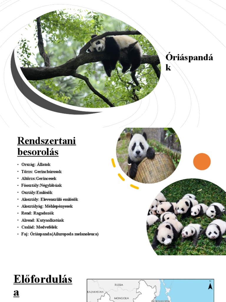 Panda | PDF