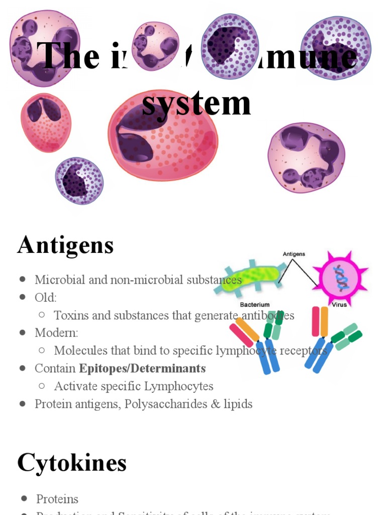 The Innate Immune System - PAMPS, DAMPS, Antigen, Cytokines and ...
