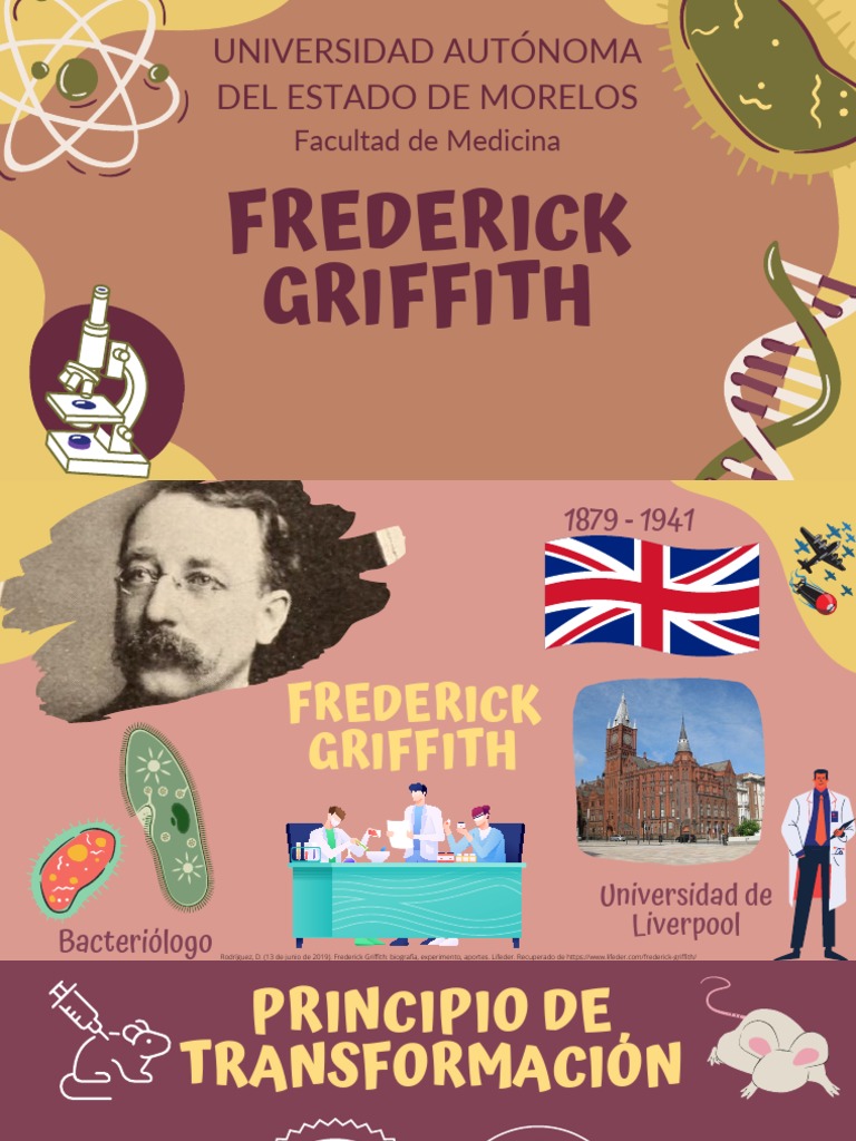 Aportes y Experimentos de Frederick Griffith | PDF