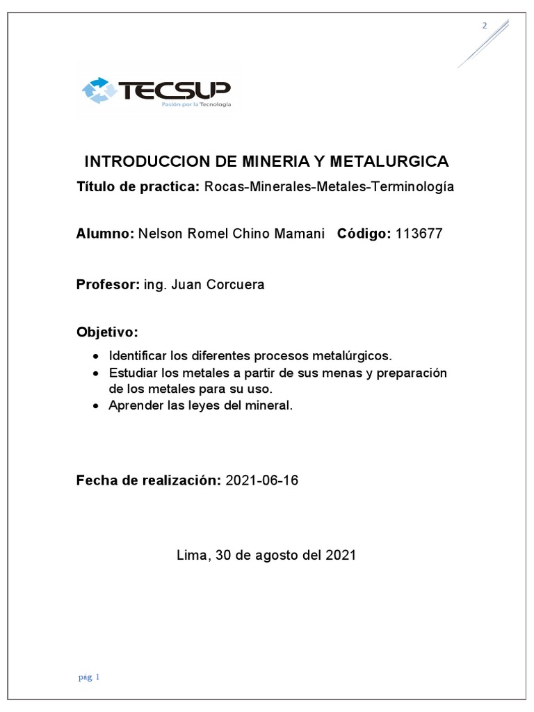 Introduccion de Mineria y Metalurgica 2 | PDF | Metalurgia | Minería