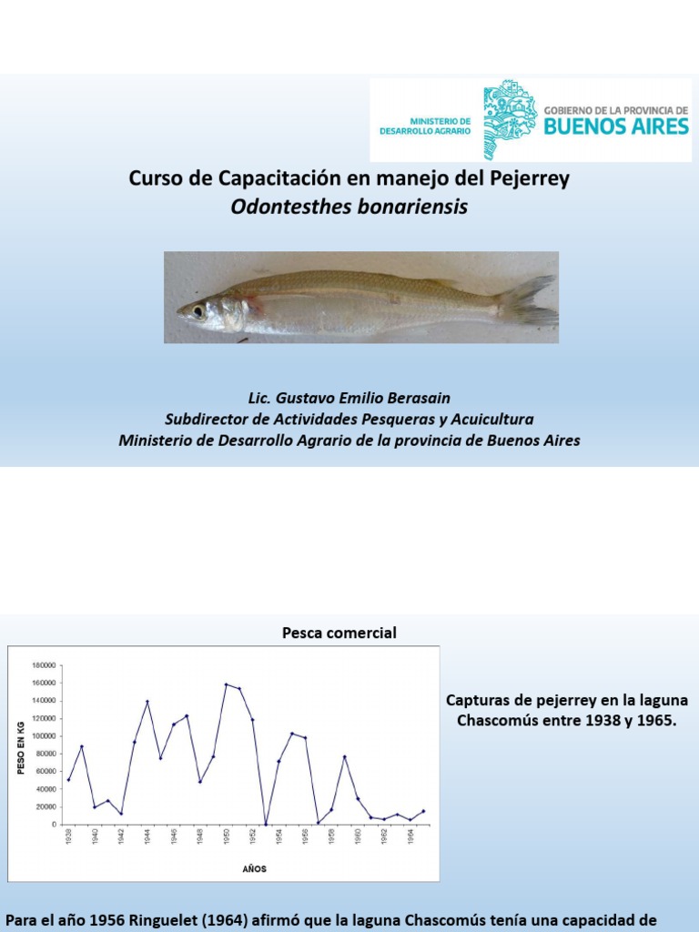Características Pejerrey y Pesca Comercial | PDF
