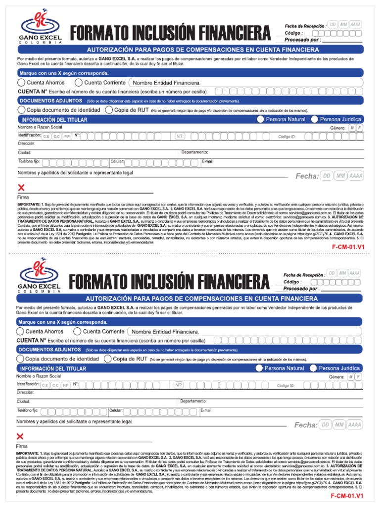Formato_Inclusion_Financiera | PDF